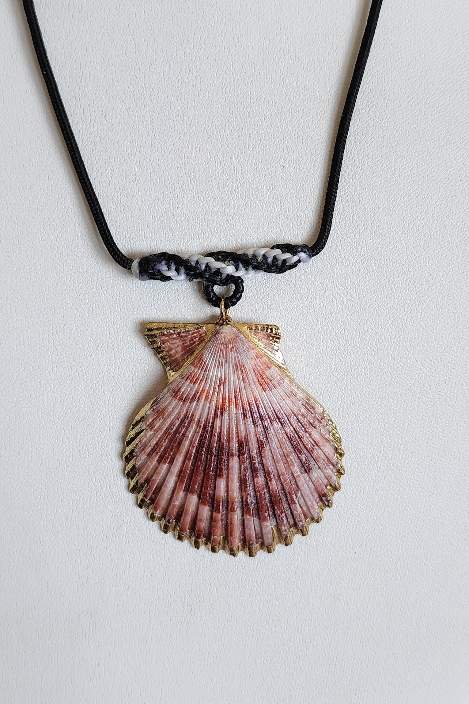 Pink Clam Shell Necklace – ENDLESS SUMMER NZ